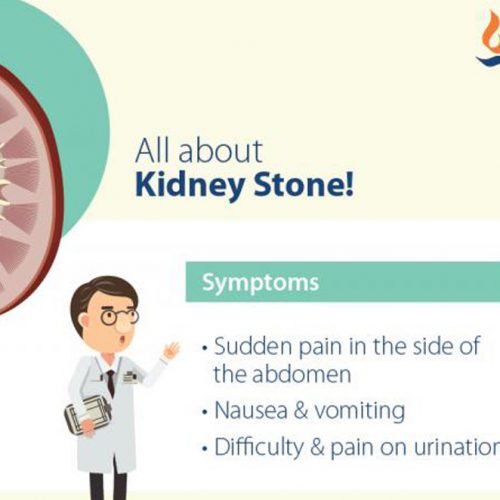 What is The Prostate and Prostate Enlargement? | St Pete Urology