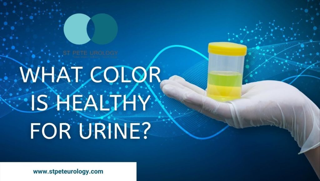 What happens during a vasectomy procedure and how does it work? | St ...