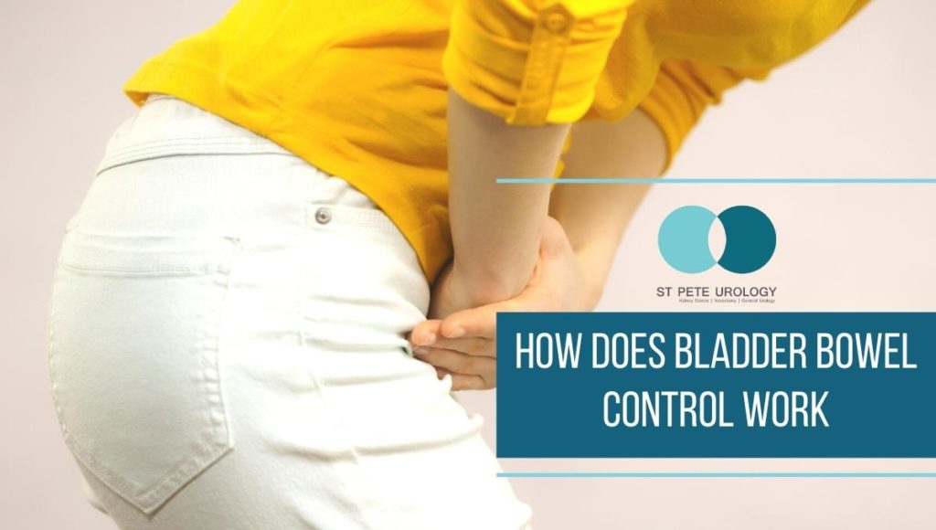 Penile Implants - The Best Way to Cure Erectile Dysfunction | St Pete ...