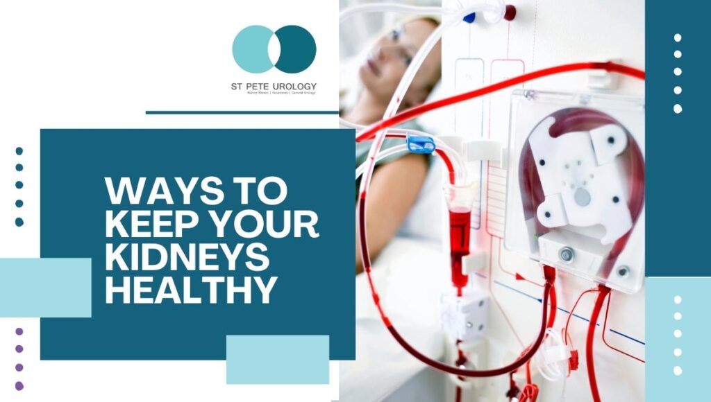 Ways to Keep Your Kidneys Healthy | St Pete Urology