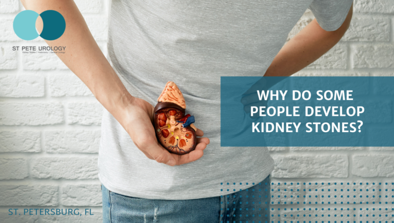 Why Do Some People Develop Kidney Stones? | St Pete Urology