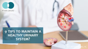 9 Tips to Maintain a Healthy Urinary System? | St Pete Urology