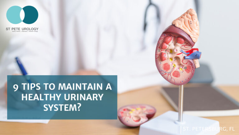 9 Tips to Maintain a Healthy Urinary System? | St Pete Urology